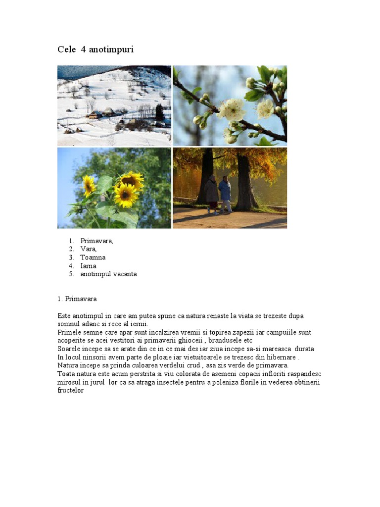 Cele 4 Anotimpuri | PDF
