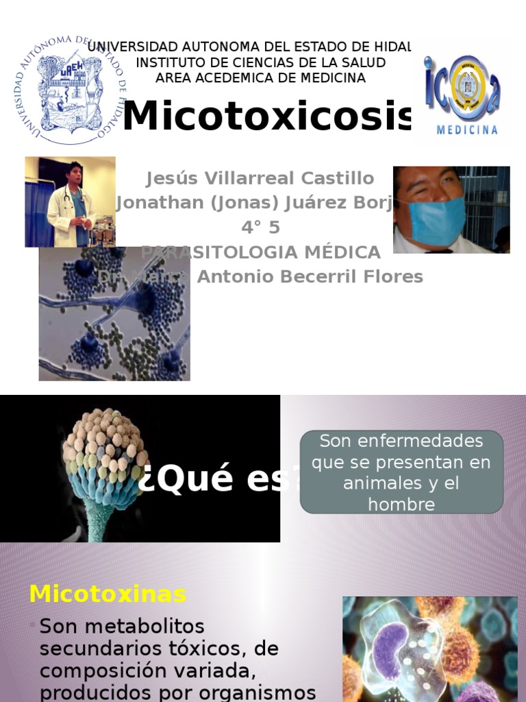 MICOTOXICOSIS | PDF | Micotoxinas | Especialidades Medicas