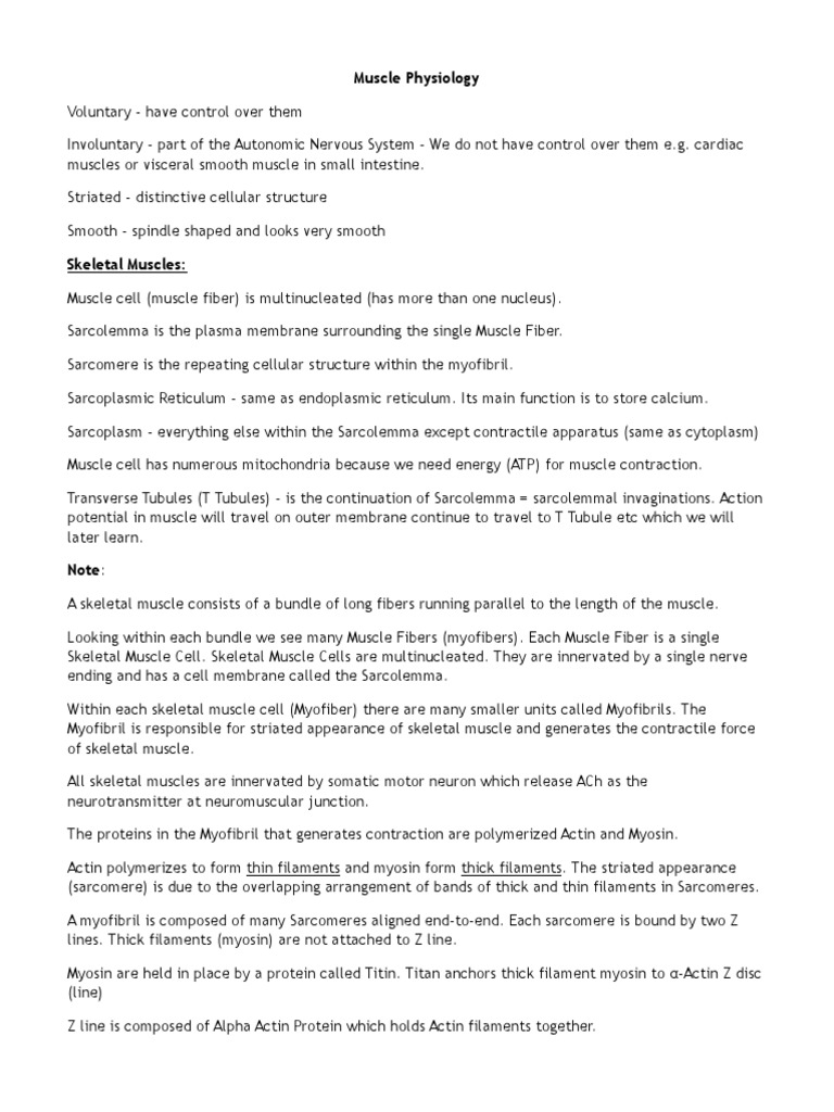 Muscle Physiology: A Guide to Muscle Structure and Contraction ...