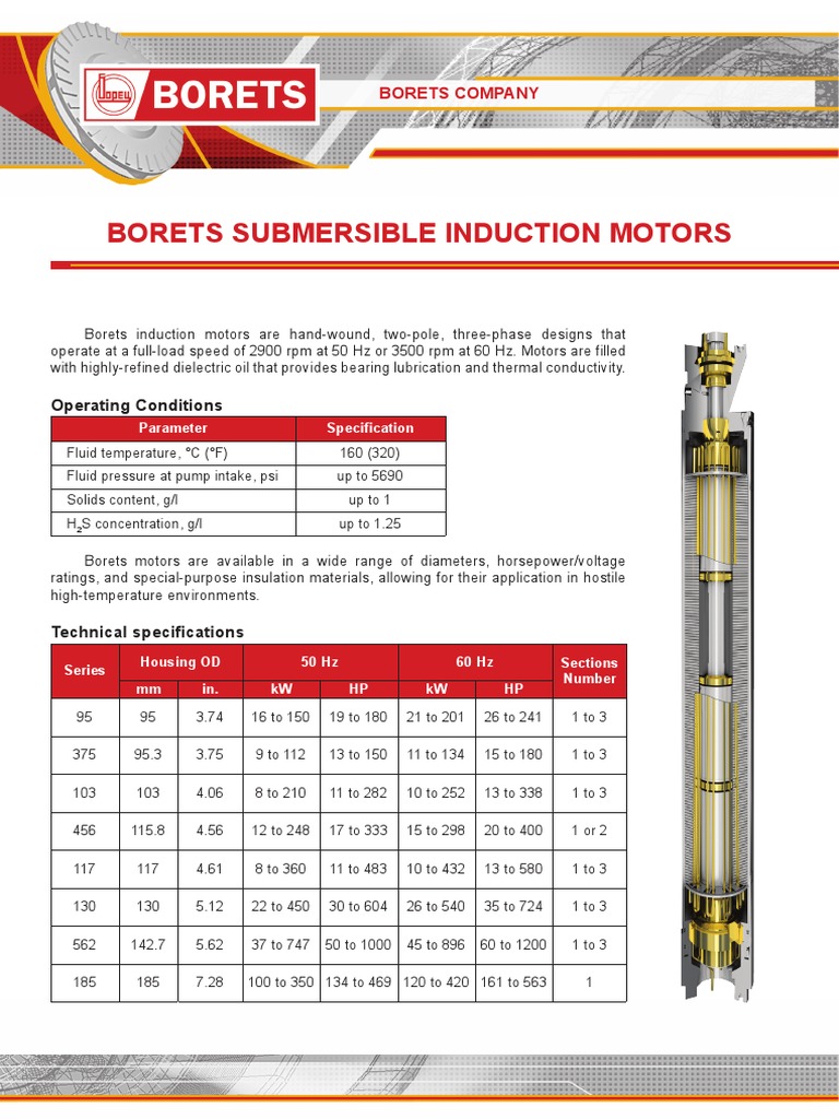 Borets Submersible Induction Motors | PDF