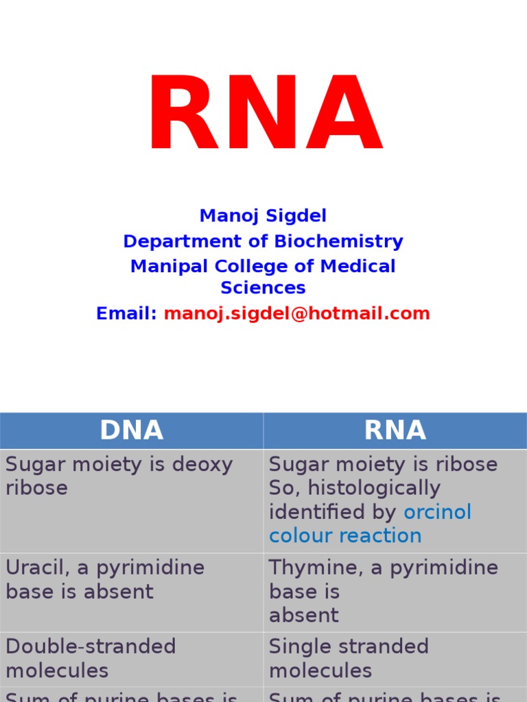 RNA | PDF | Rna | Messenger Rna