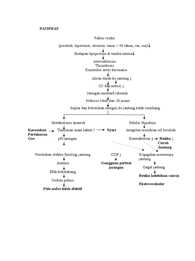 Pathway Stemi