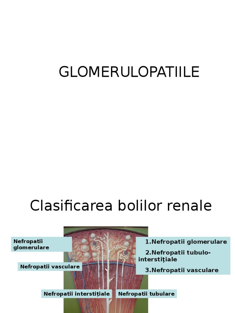 Glomerulonefritele | PDF