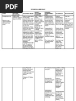 Client Care Plan (Risk for Falls) | Nursing | Risk