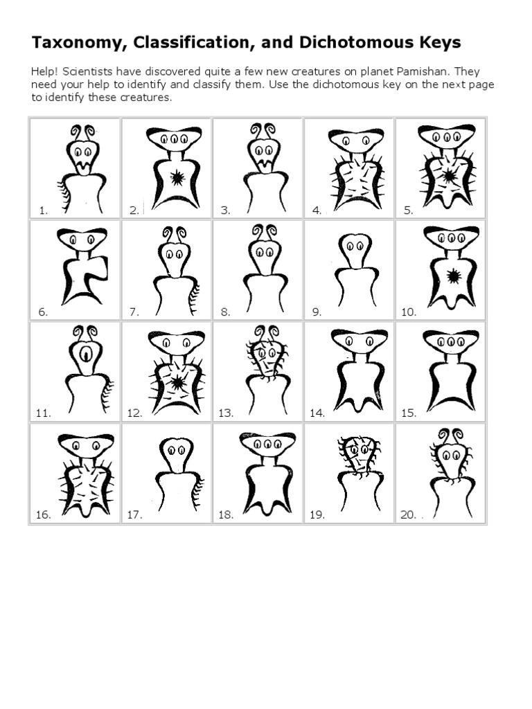 Dichotomous Key Worksheet Pdf Taxonomy Dichotomous Key Worksheet