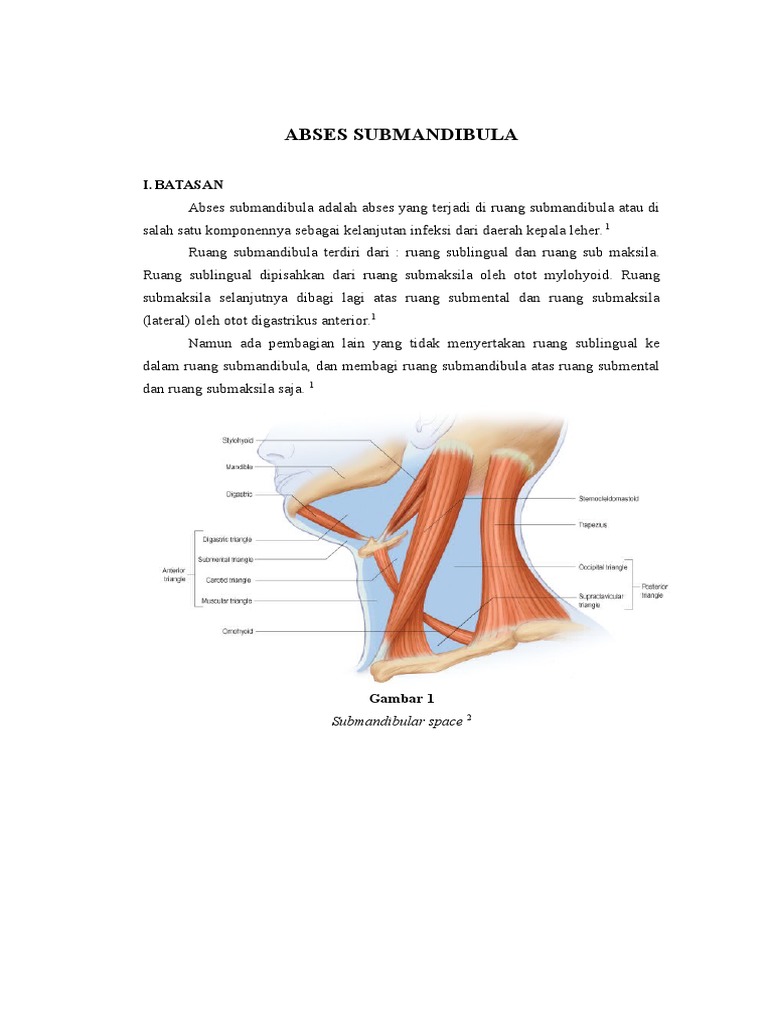 Abses Submandibula: Penyebab dan Penanganan | PDF