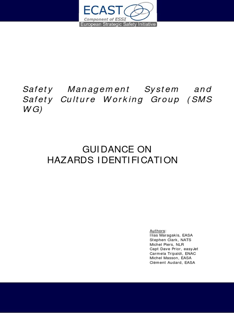 Guidance On Hazard Identification | PDF
