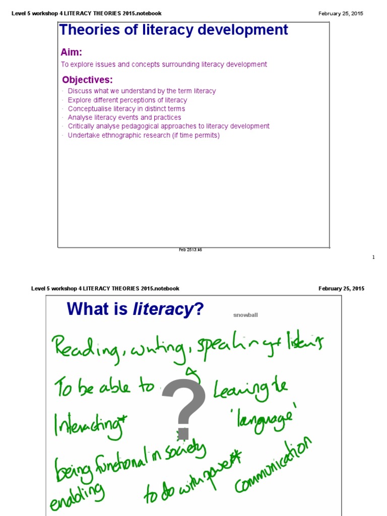 l5 Literacy Development 2015 | PDF | Literacy | Phonics