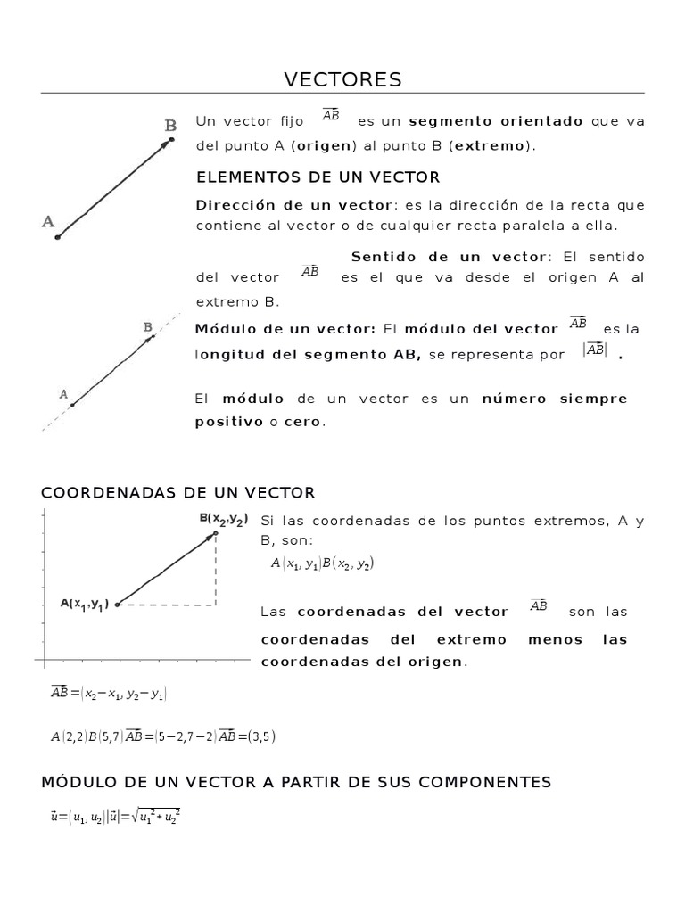 Rectas y Vectores | PDF | Vector Euclidiano | Línea (geometría)