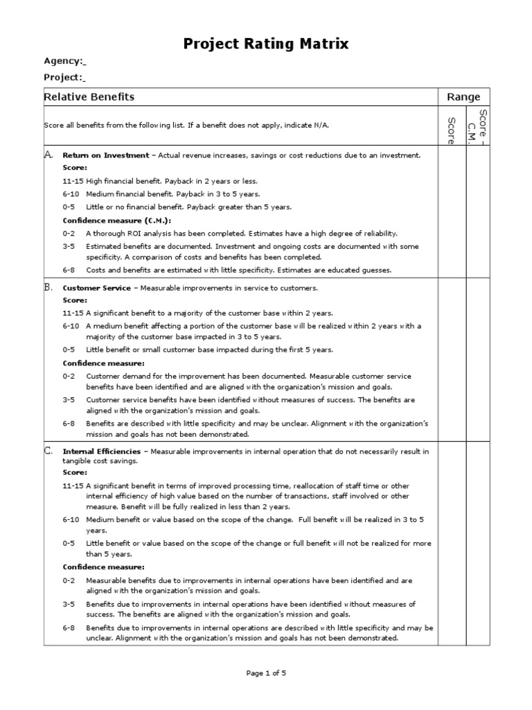 Project Rating Matrix Template | Business Process | Investing