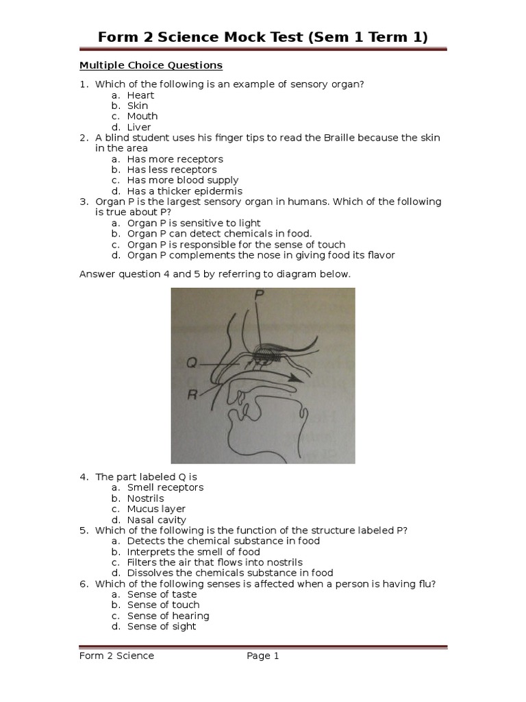 Form 2 Science Mock Test Sem 1 | PDF | Senses | Ear