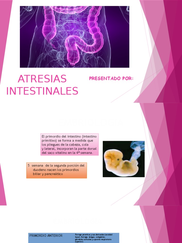 Atresia Intestinal | PDF | Intestino grueso | Sistema digestivo humano