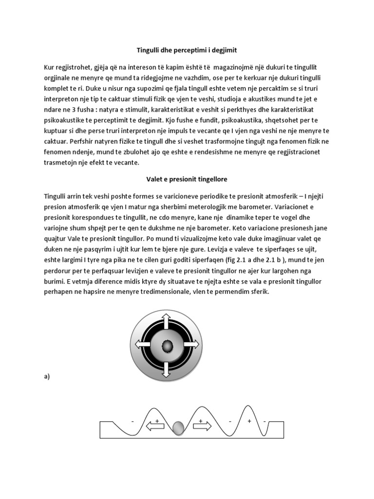 Tingulli Dhe Perceptimi I Degjimit | PDF