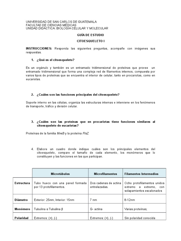 Guía de Estudio del Citoesqueleto | PDF | Actina | Citoesqueleto