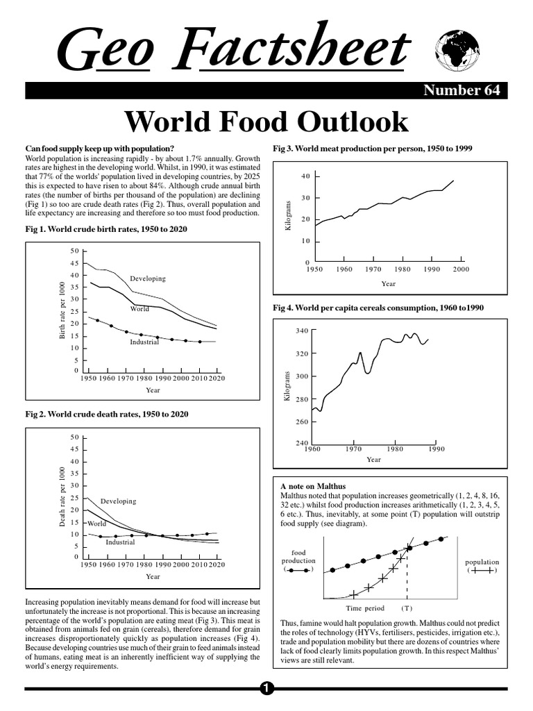 World Food Outlook: Geo Factsheet | PDF | Rice | Agriculture