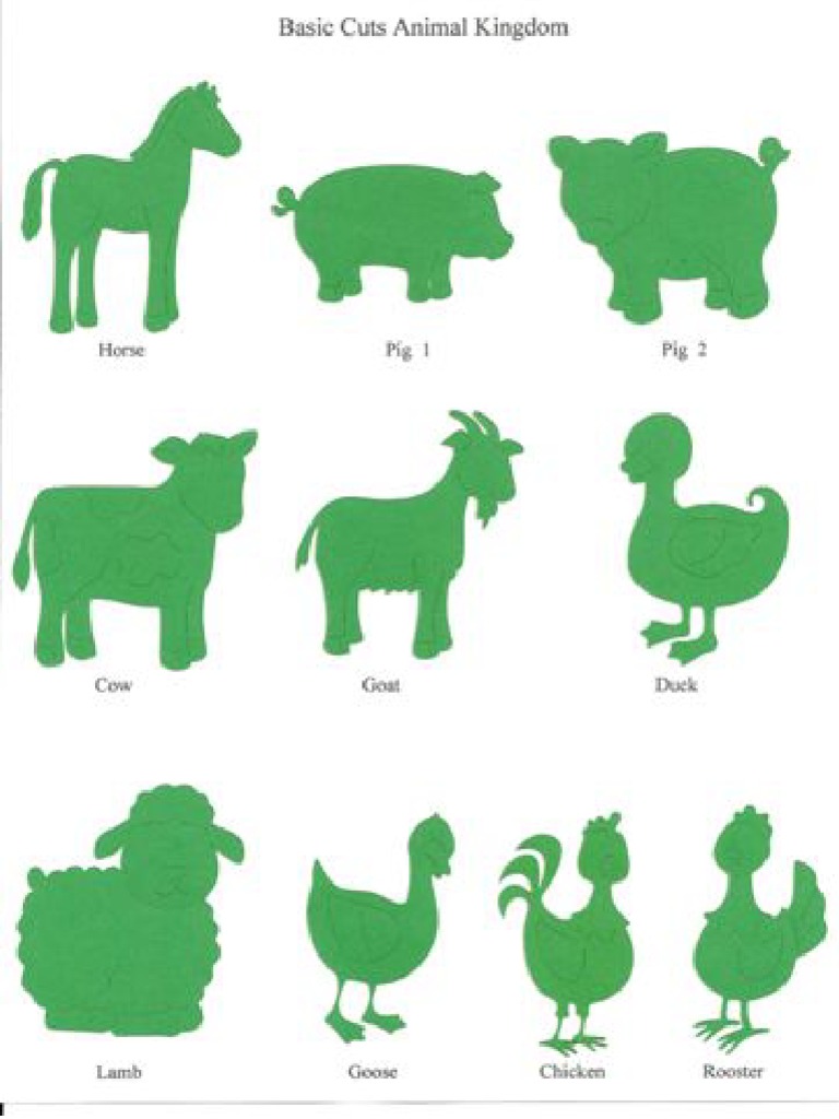 Animal Kingdom Cheat Sheets | PDF