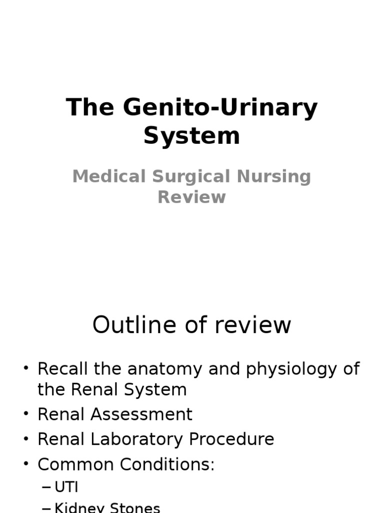 Nursing Genito-Urinary System | PDF | Urinary Tract Infection ...