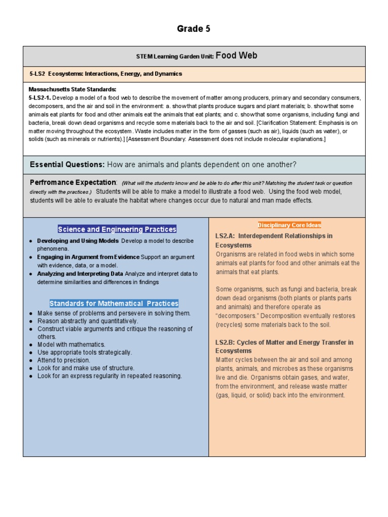 Grade 5 Unit Food Web | PDF | Food Web | Ecosystem