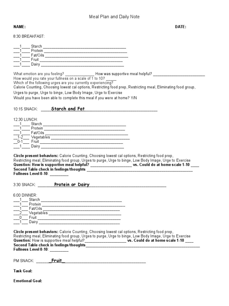 Daily Meal Plan and Reflection Guide | PDF