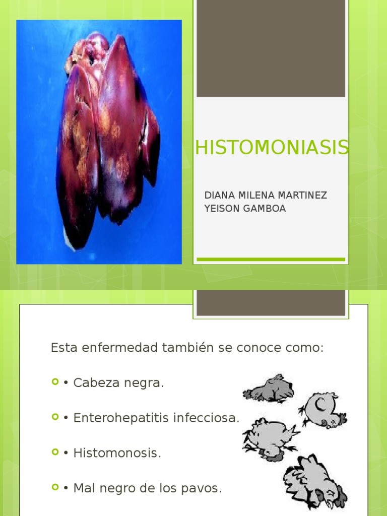 Histomoniasis 110511164709 Phpapp02 | PDF | Epidemiología | Medicina