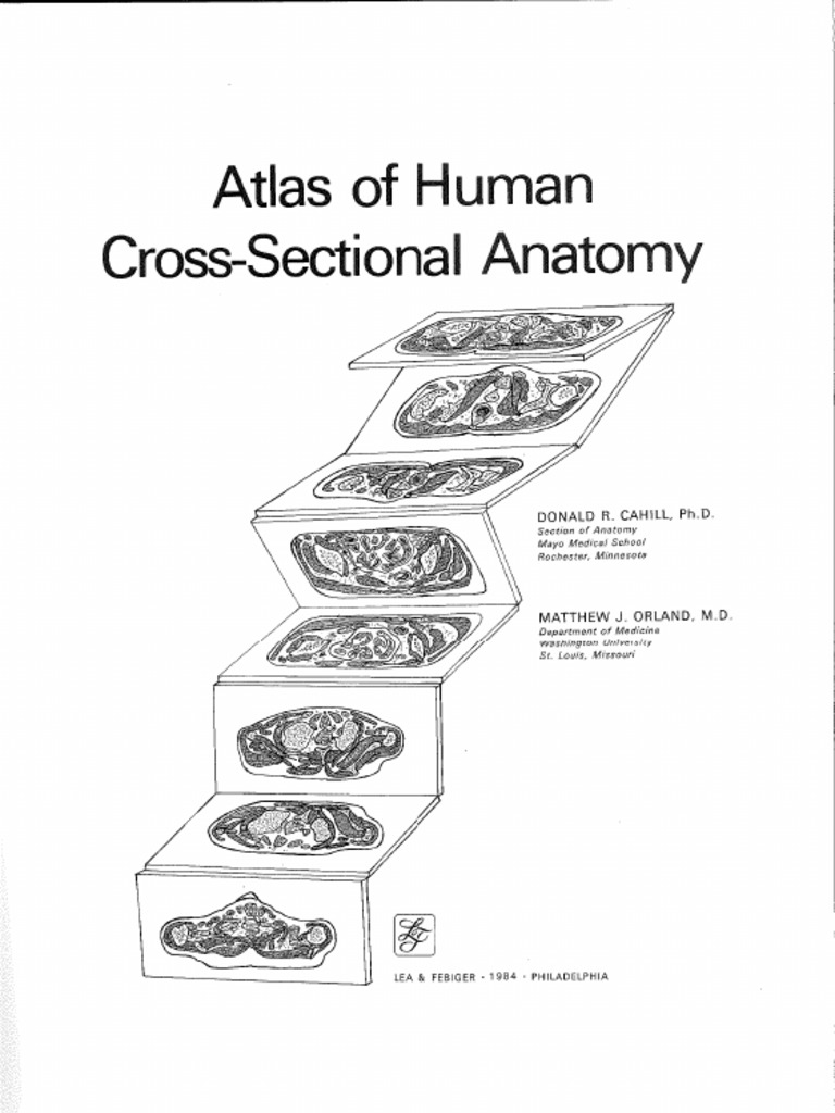 Atlas of Human Cross-Sectional-Anatomy and Orland Atlas of Human Cross ...