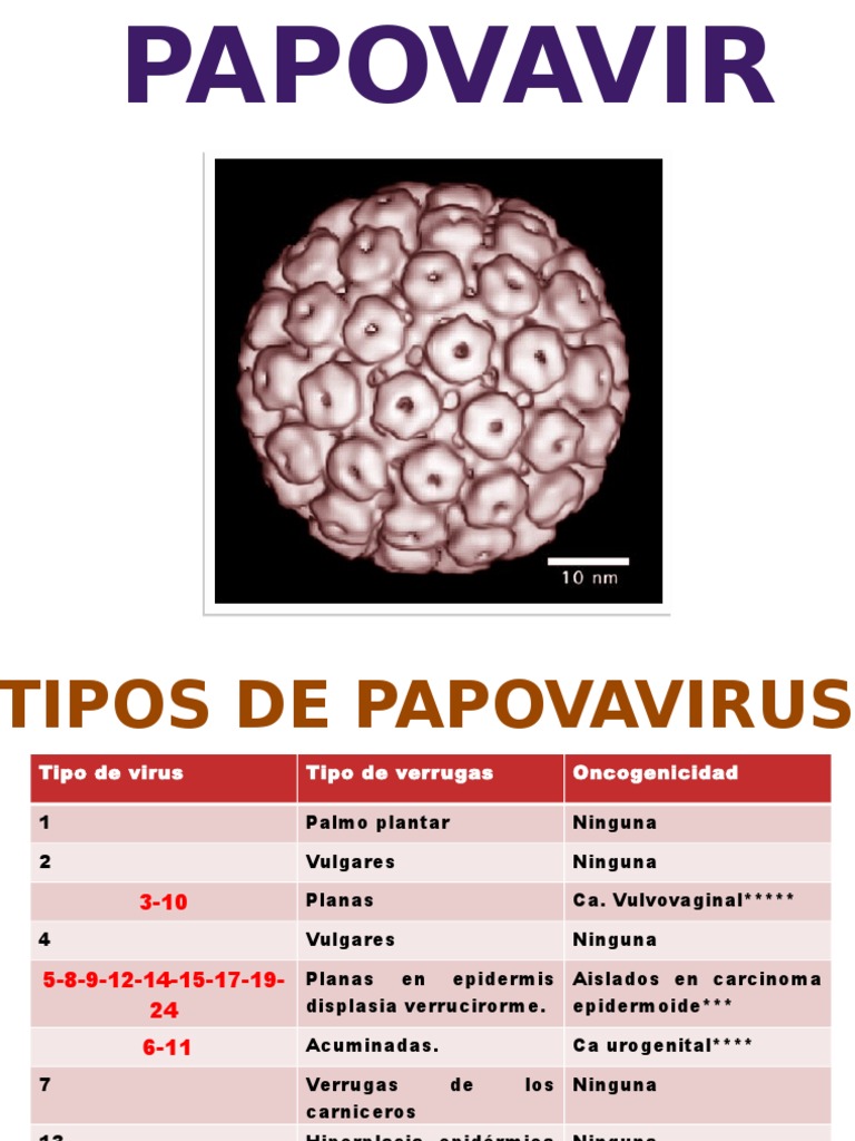 Papo Virus | PDF | Hogar, jardinería y bricolaje | Ciencia y matemáticas