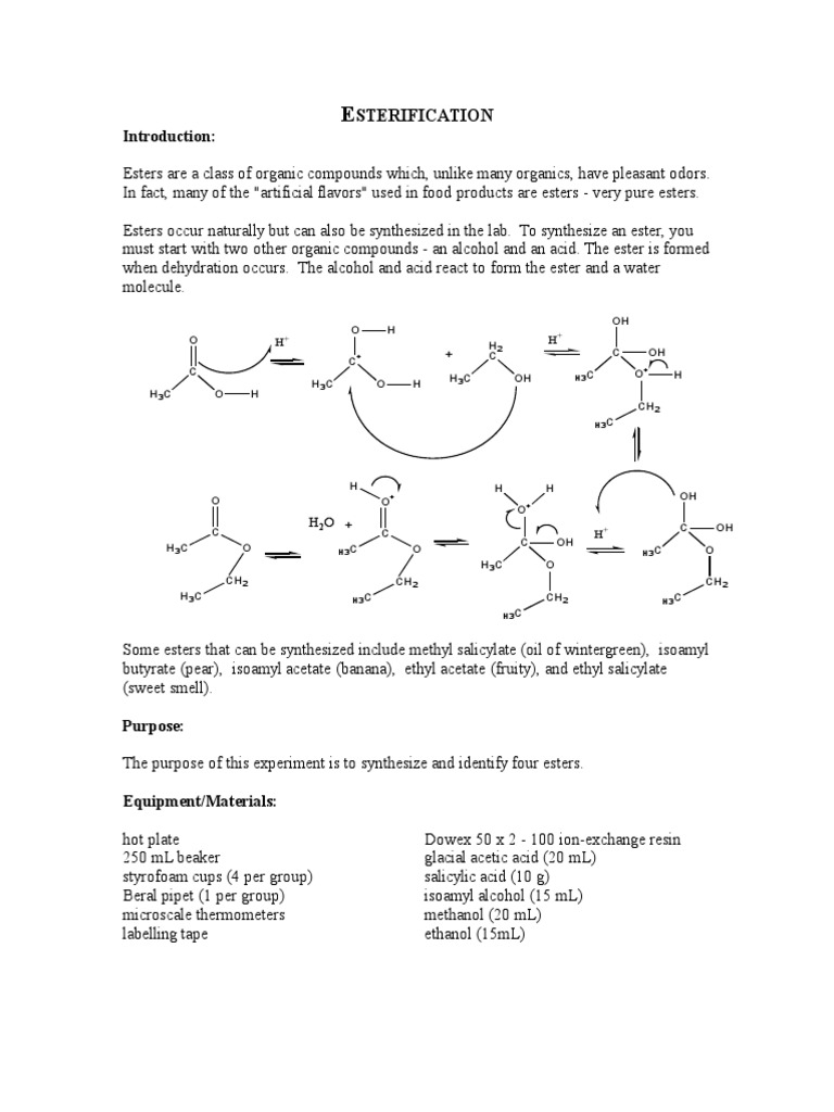 16 - Esterification | PDF | Ester | Carbon