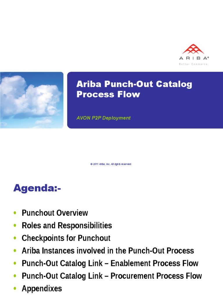 Catalog Punchout Overview Final Ariba Supplier Relationship Management | PDF | Peer To Peer ...