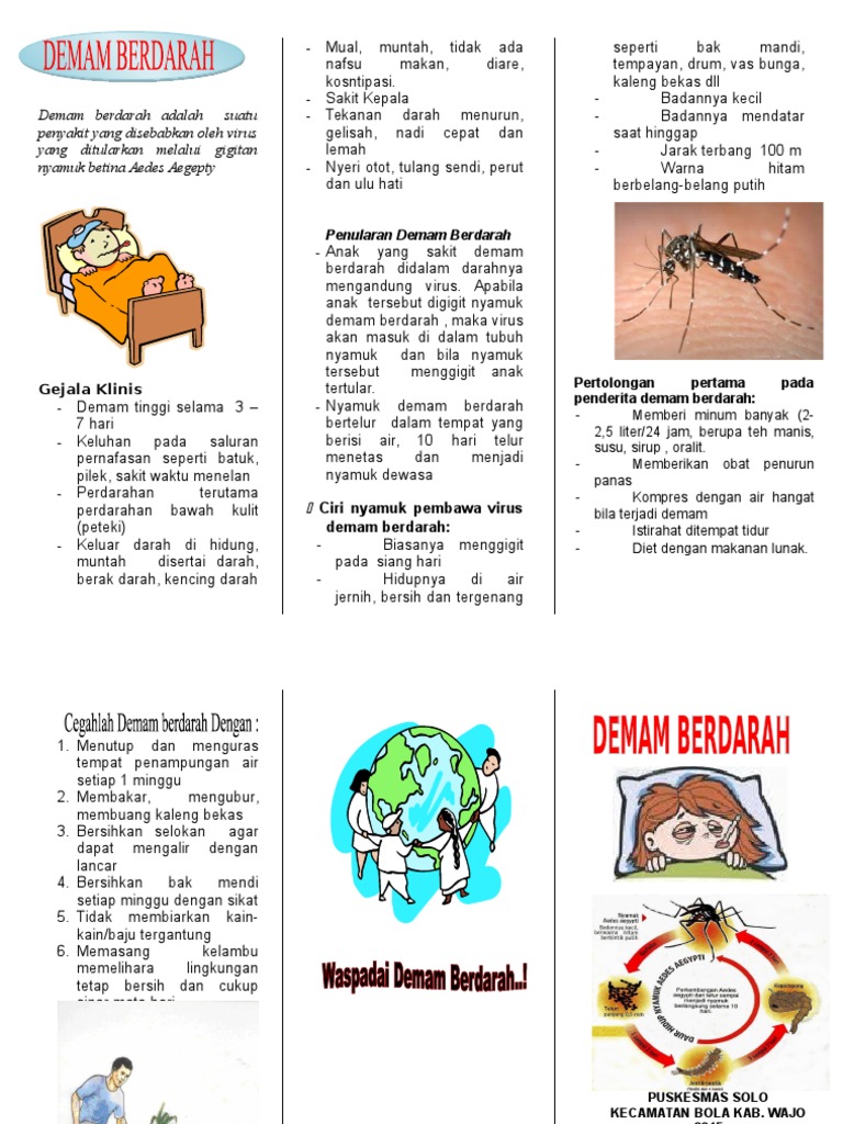 Leaflet Demam Berdarah Dengue | PDF