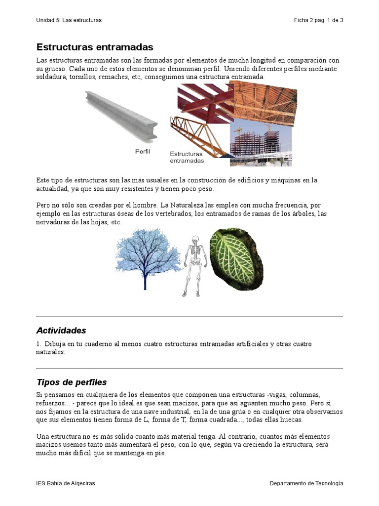 Estructuras Entramadas: Tipos y Ejemplos | PDF | Naturaleza