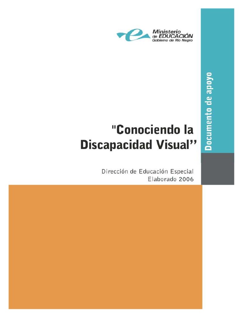 Conociendo La Discapacidad Visual | PDF | Invalidez | Percepción visual
