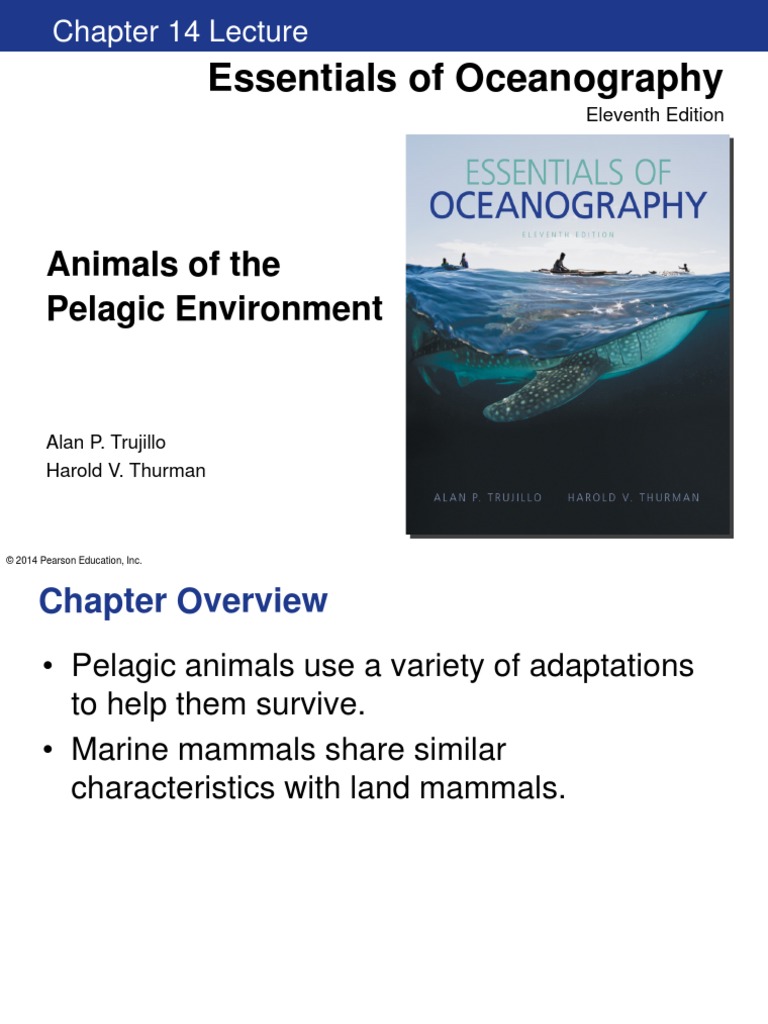 CH 14 | PDF | Cetacea | Pinniped