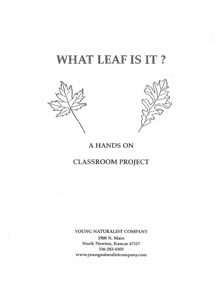 Leaf Identification Kit | PDF
