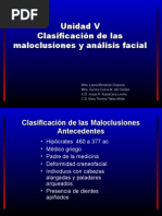 6-4 Grupo 1 Clasificación de Dewey y Anderson | PDF | Anatomia dental ...