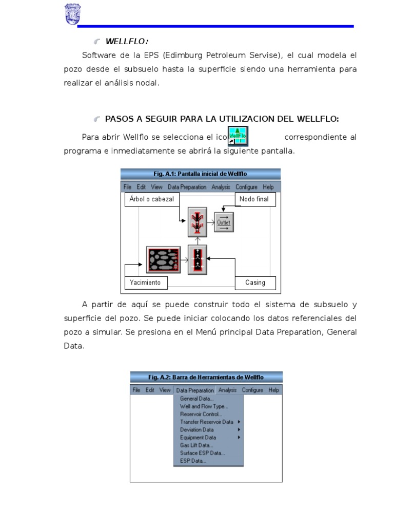 Manual Wellflo | PDF | Gases | Temperatura