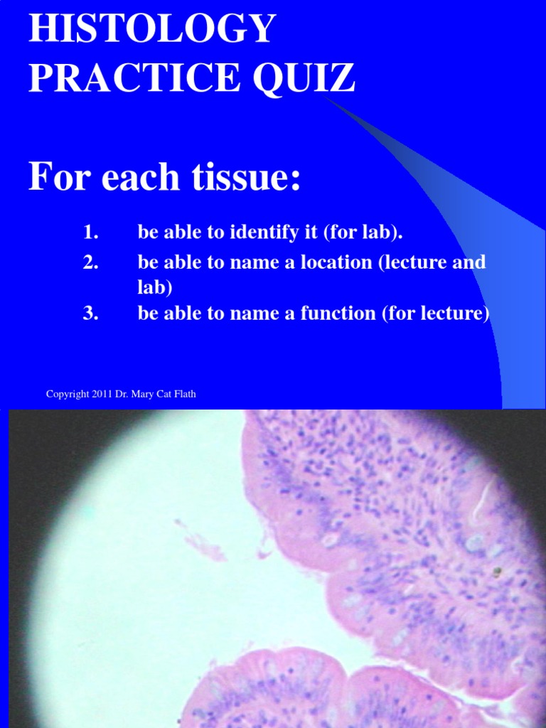 Practice Histology Quiz | PDF | Epithelium | Tissue (Biology)