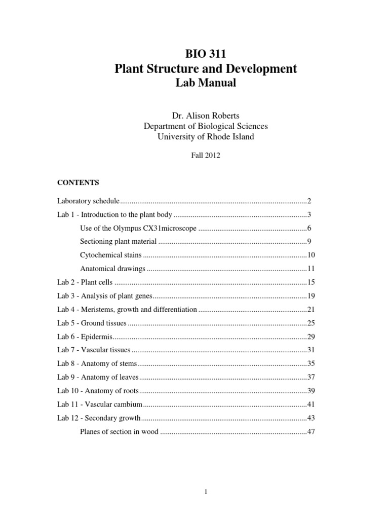 Plant Tissue Structure and Identification | PDF