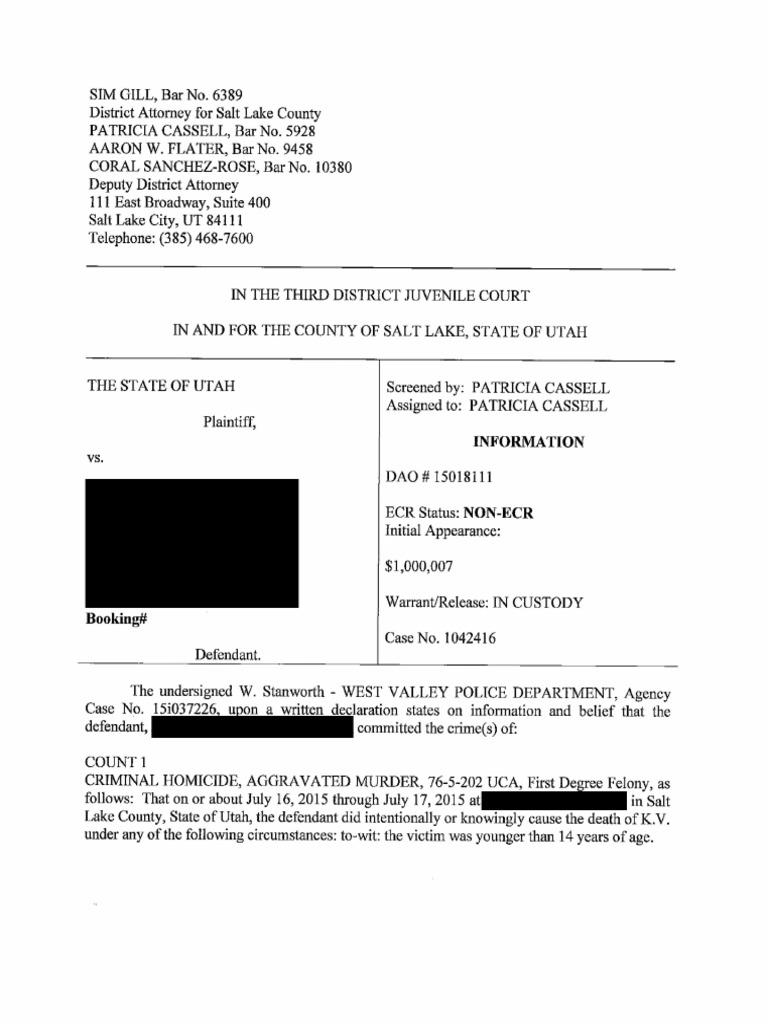 Juvenile Court - Vijil - Murder - Information | PDF