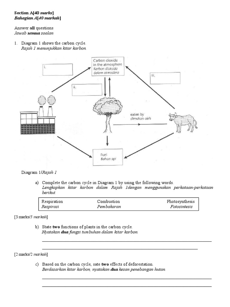 Paper2 Science Form 2 | PDF