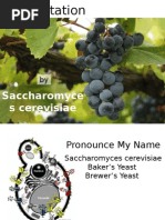 SPM AddMath Formula List Given | PDF | Triangle Geometry | Elementary ...