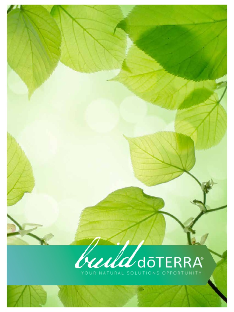 Build Guide Rank Planner doTERRA | PDF | Multi Level Marketing | Mentorship