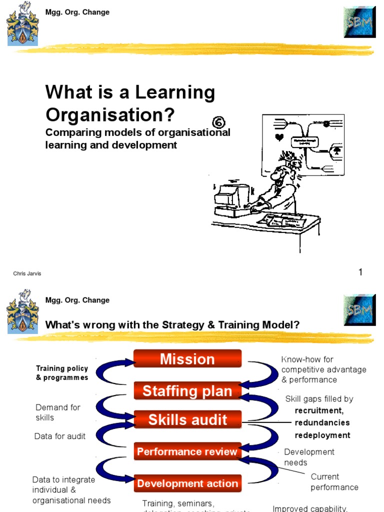 Learning Organisation | PDF | Leadership | Strategic Management