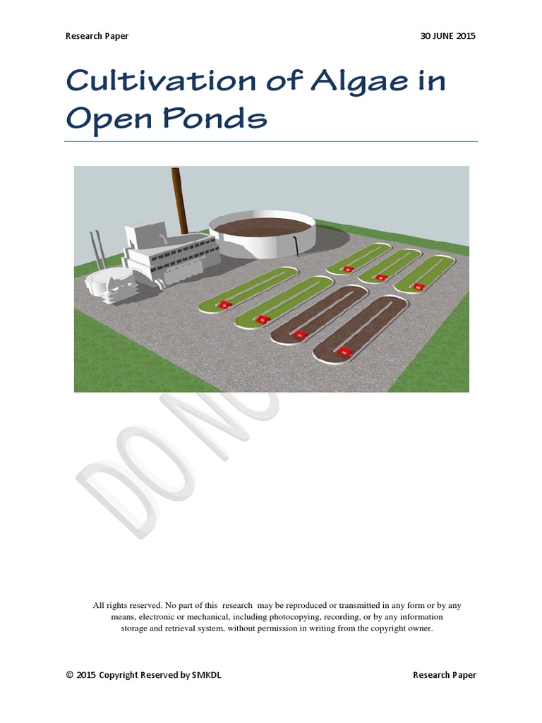 Cultivation of Algae in Open Ponds | Pond | Algae