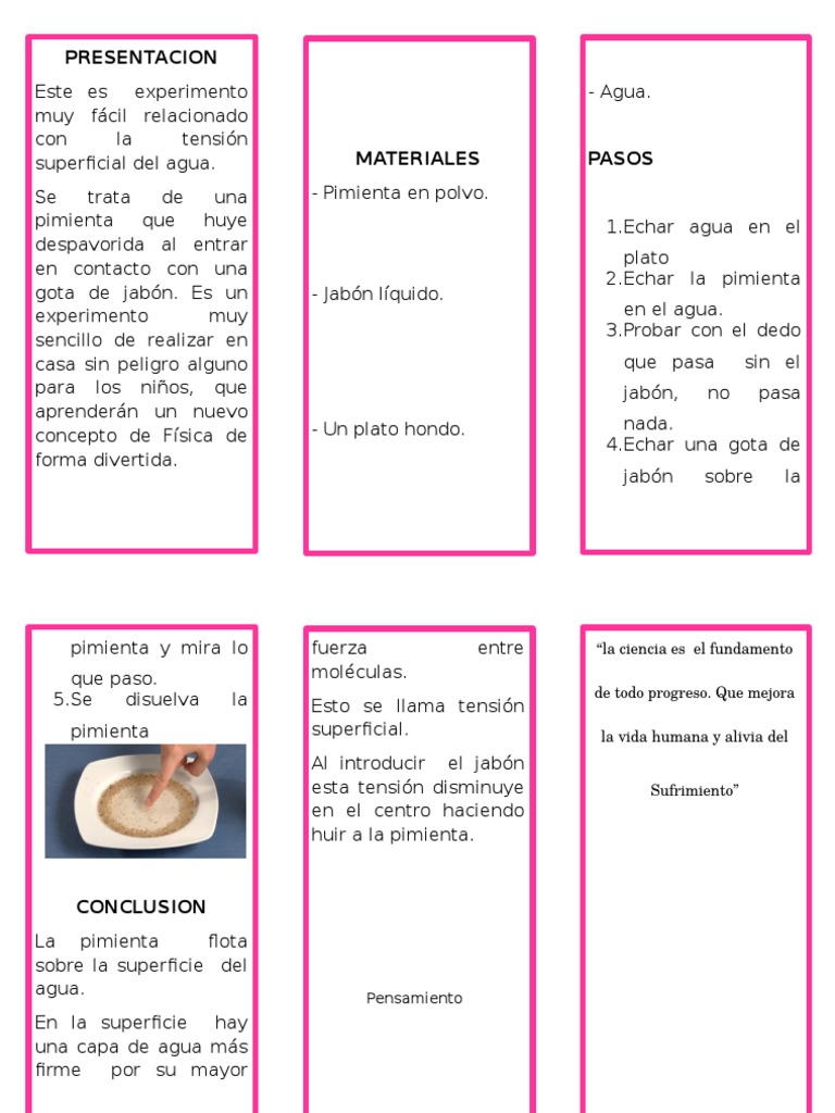 Triptico Pimienta Que Huye | PDF
