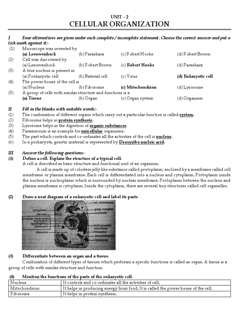 Unit 2 - Cell Organization | PDF | Cell (Biology) | Organisms