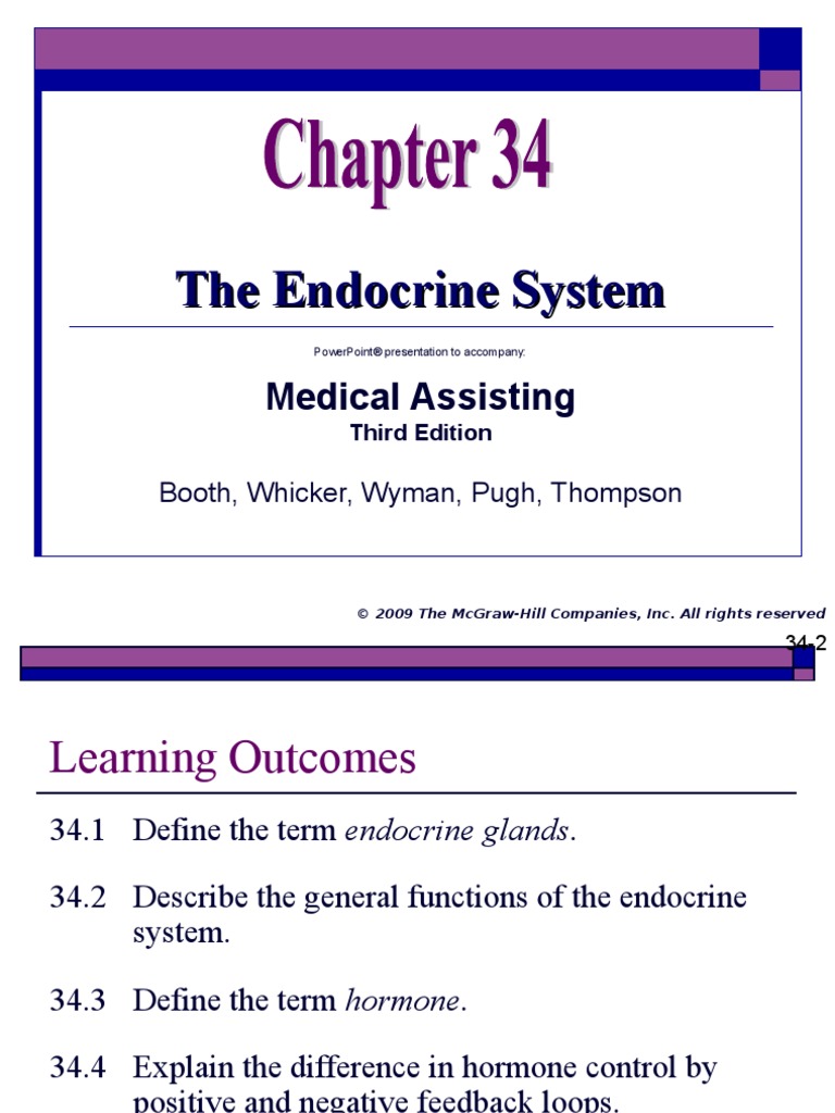Chapter 34 The Endocrine System | PDF | Endocrine System | Hormone