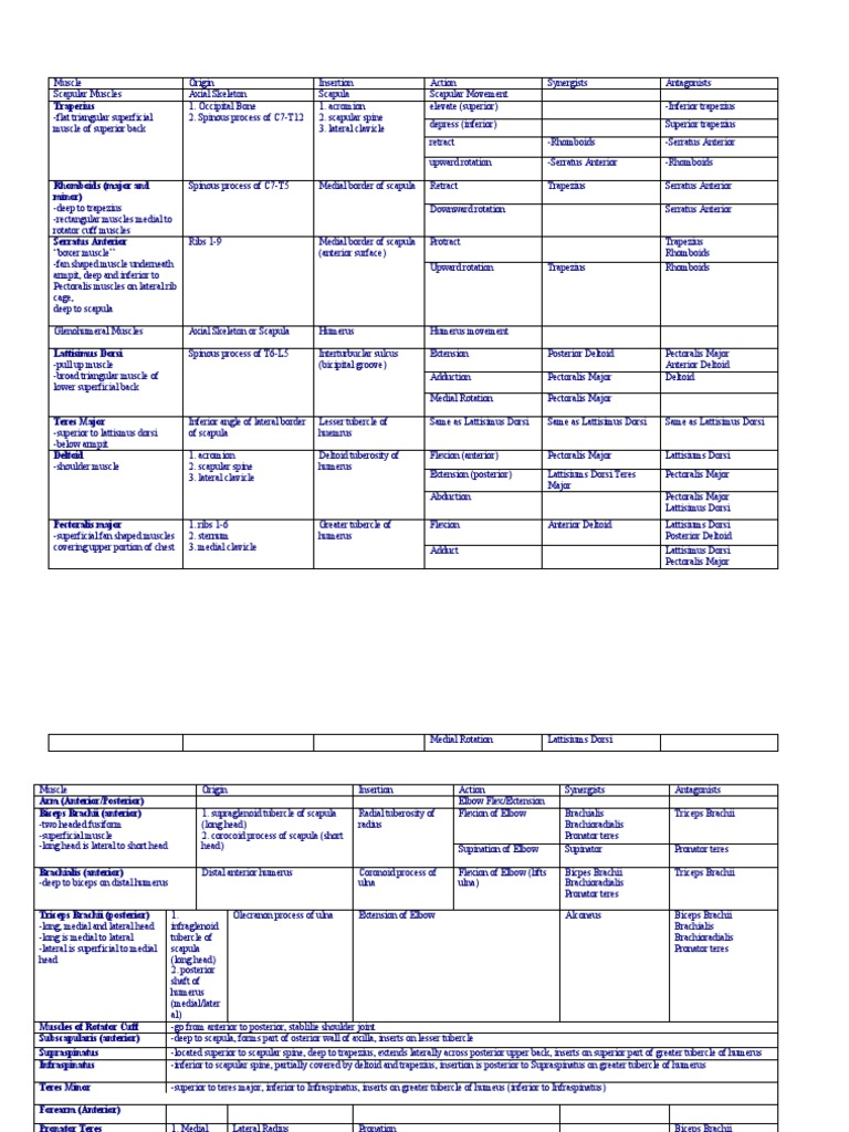 Muscle Chart Upper Extremity | PDF | Elbow | Musculoskeletal System