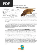 Varjak Paw Booklet | PDF