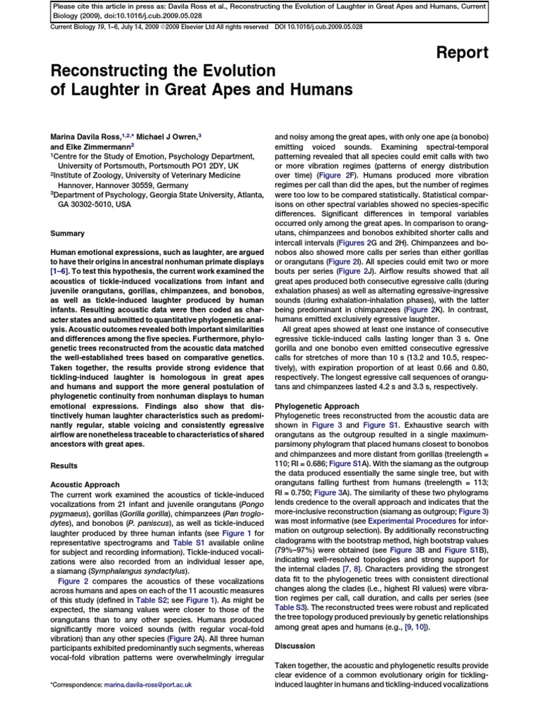 Evolution of Laughter | PDF | Hominidae | Ape