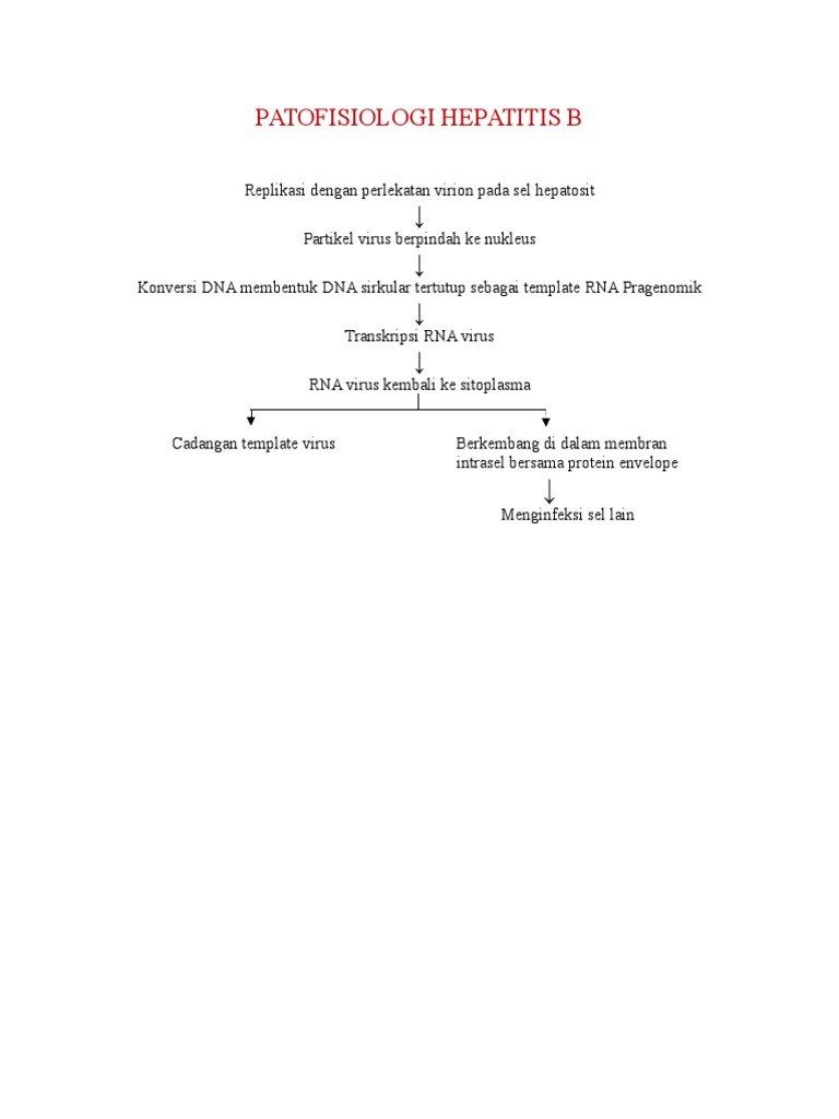 Patofisiologi Hepatitis | PDF | Sains & Matematika